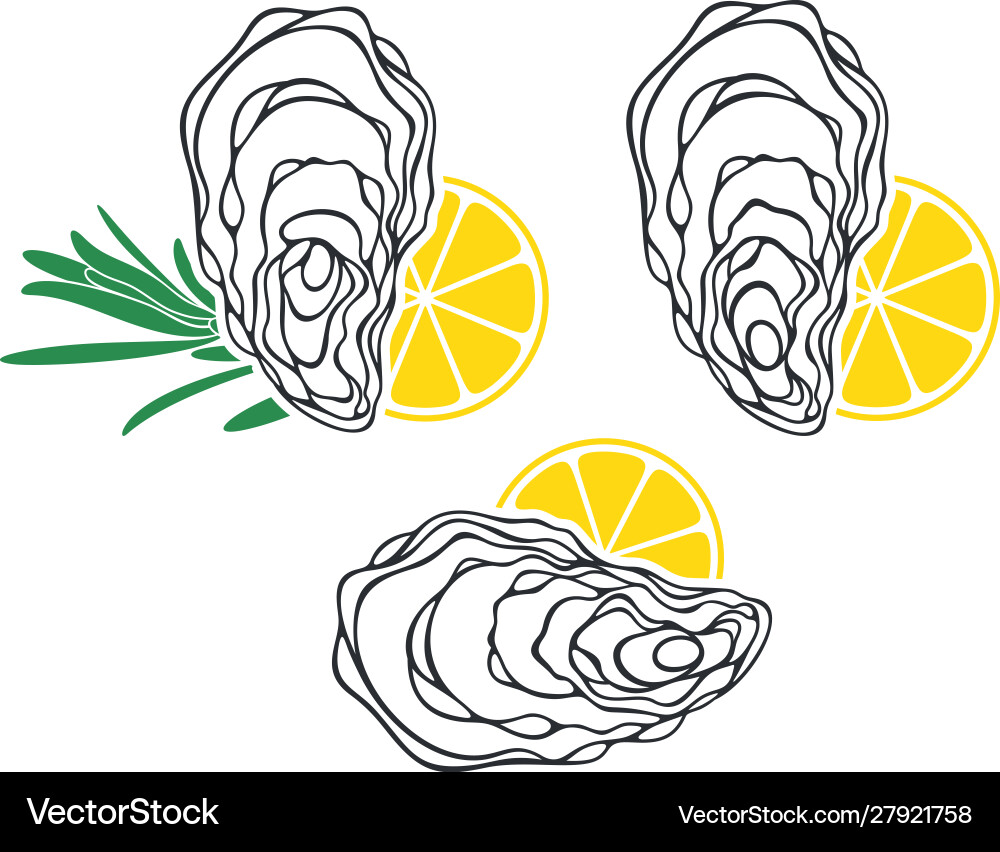 Oyster Royalty Free Vector Image - VectorStock