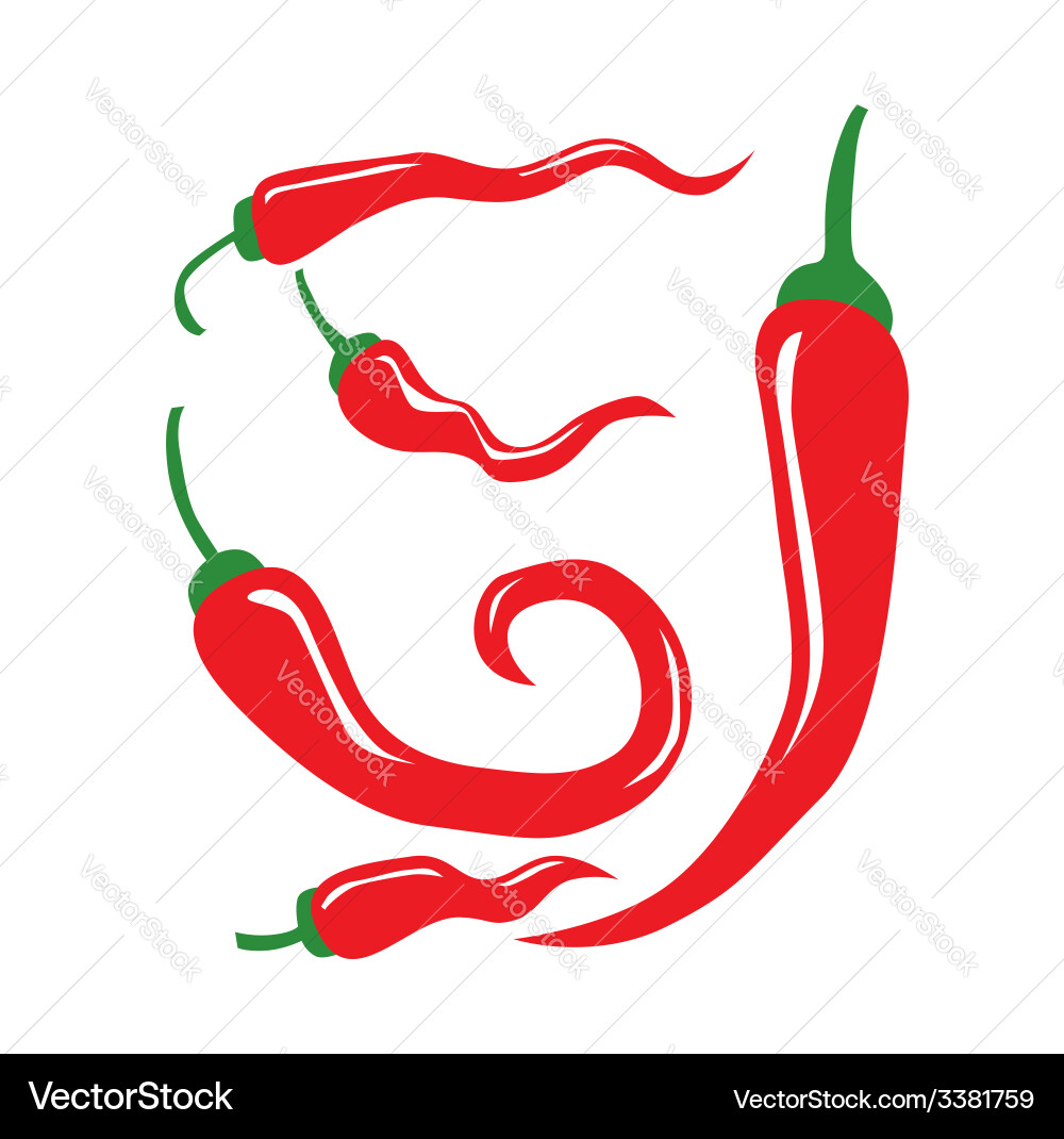Chili pepper Royalty Free Vector Image - VectorStock