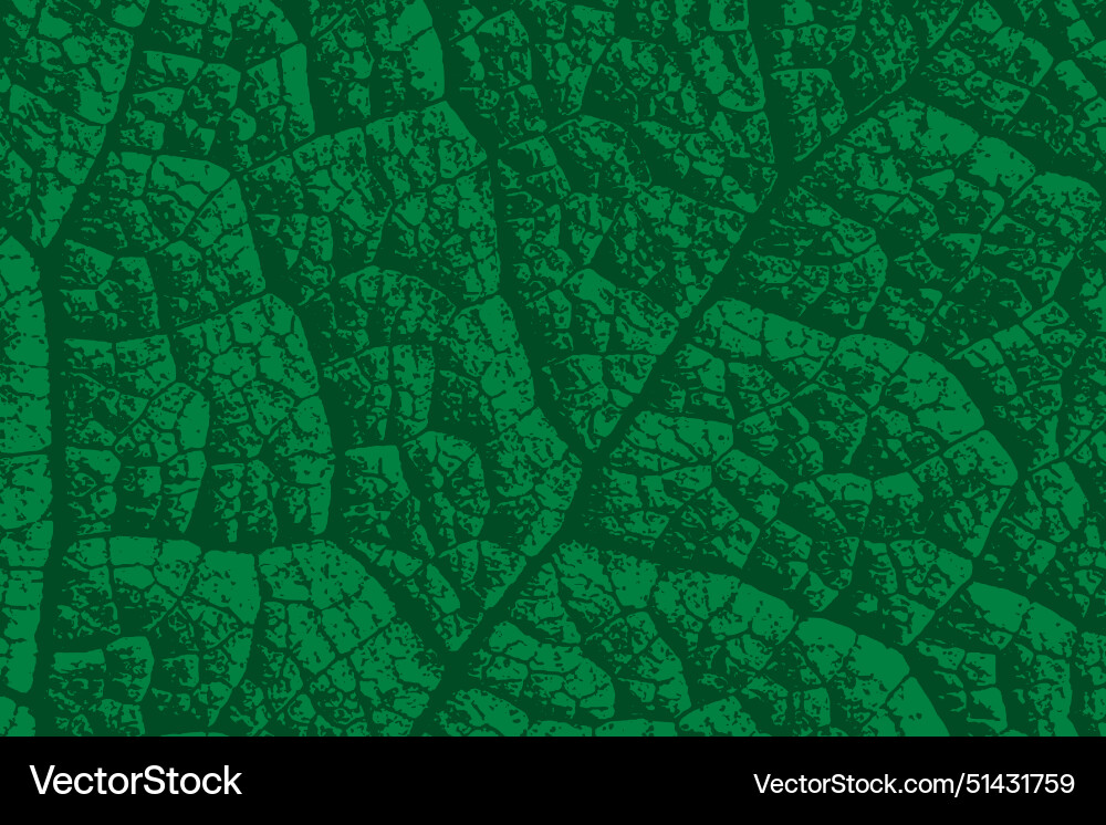 Green leaf texture Royalty Free Vector Image - VectorStock