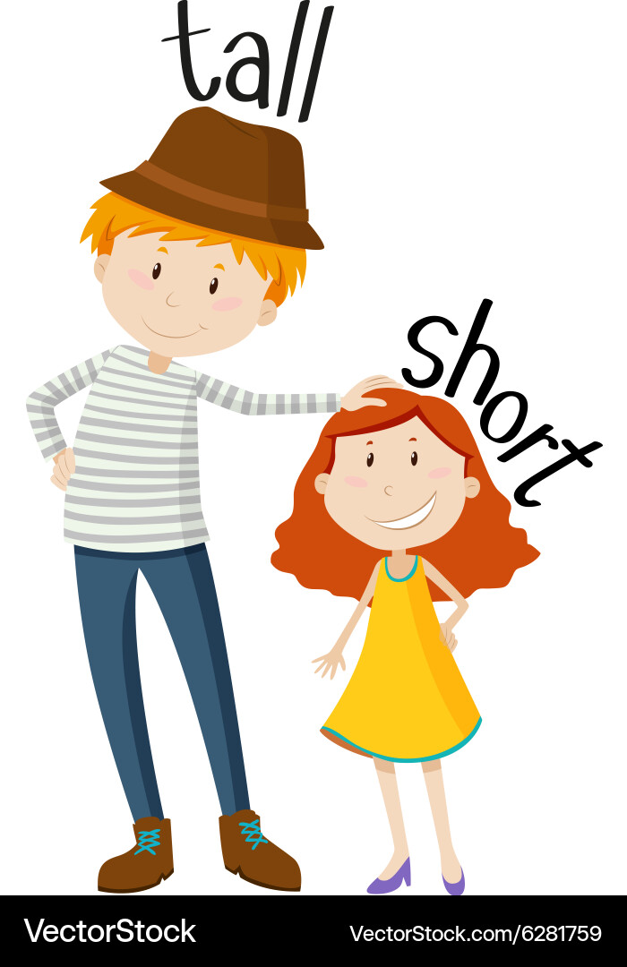 Tall vs. Short People Royalty Free Vector Image