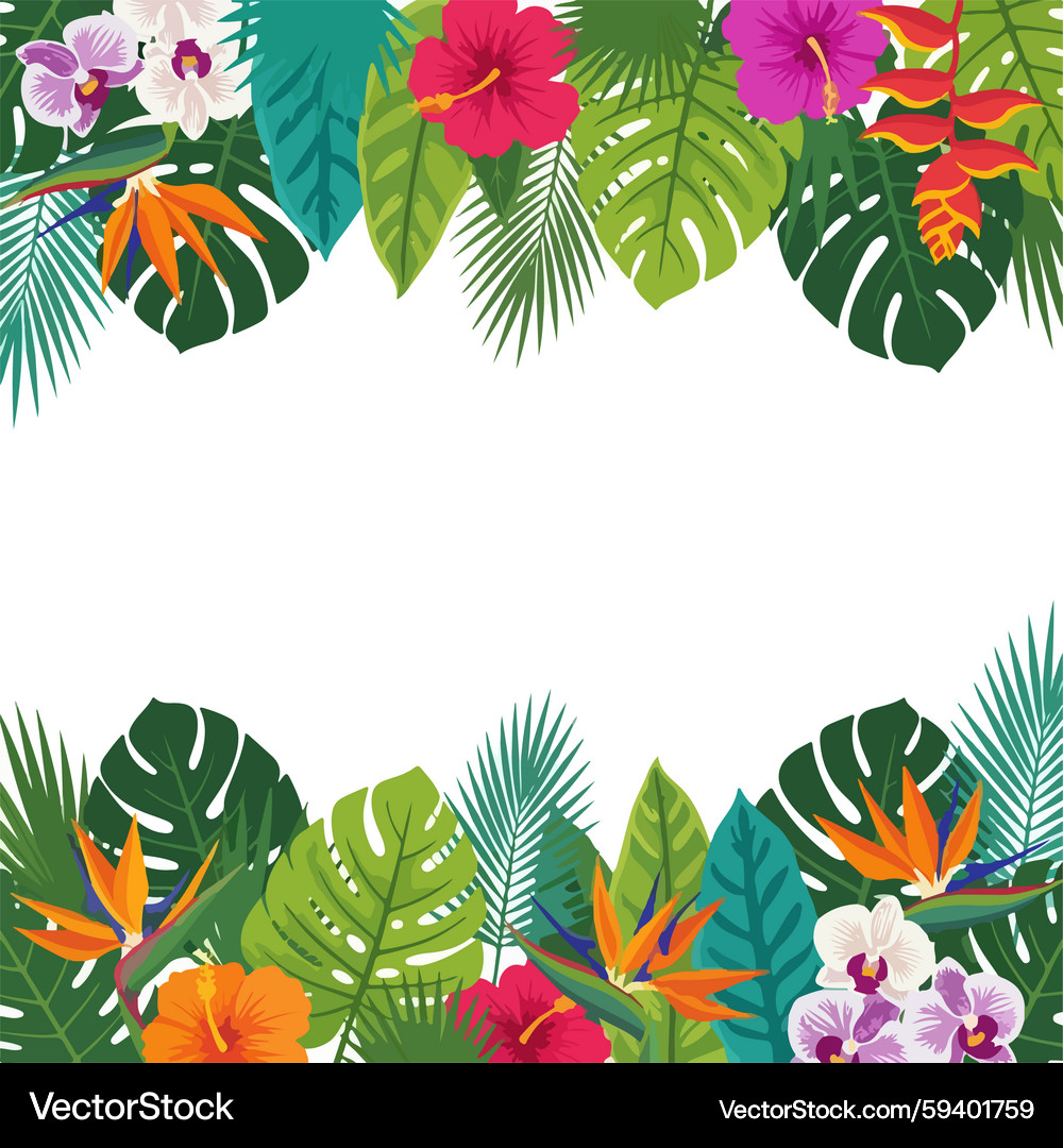 Vibrant tropical floral border Royalty Free Vector Image