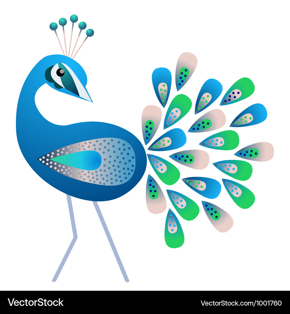 Peacock Royalty Free Vector Image - VectorStock
