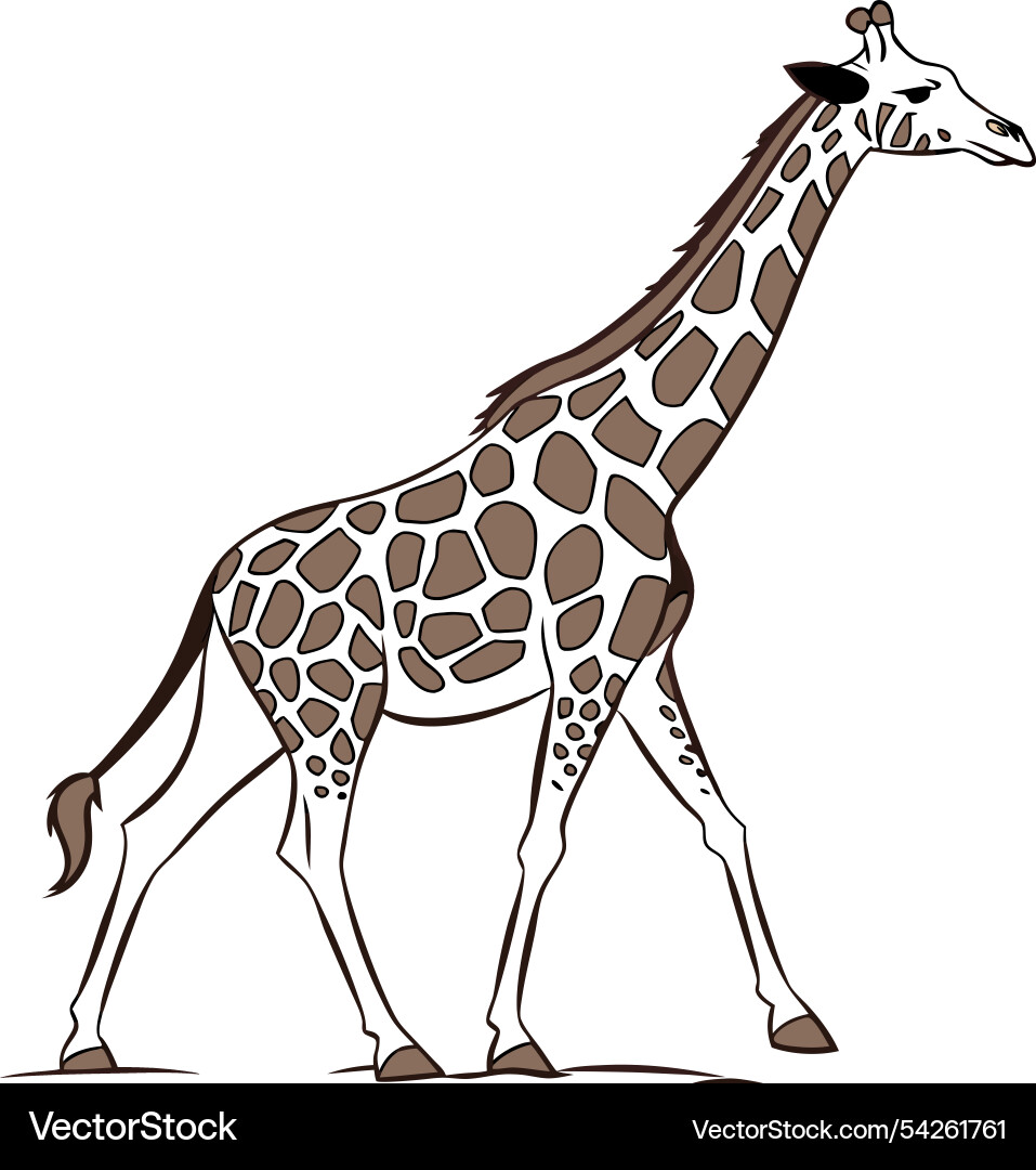 A giraffe art 1 Royalty Free Vector Image - VectorStock