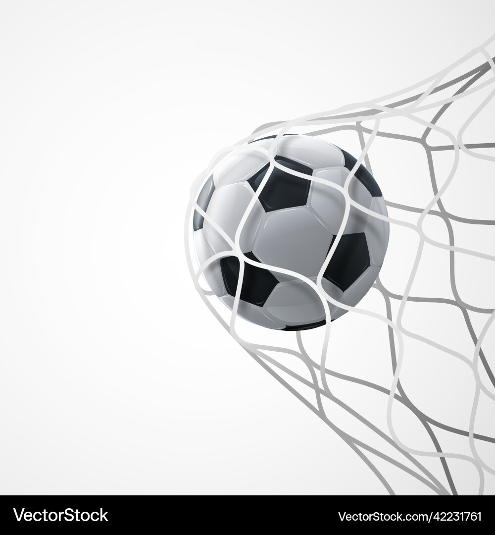 Realistic soccer ball in net isolated Royalty Free Vector