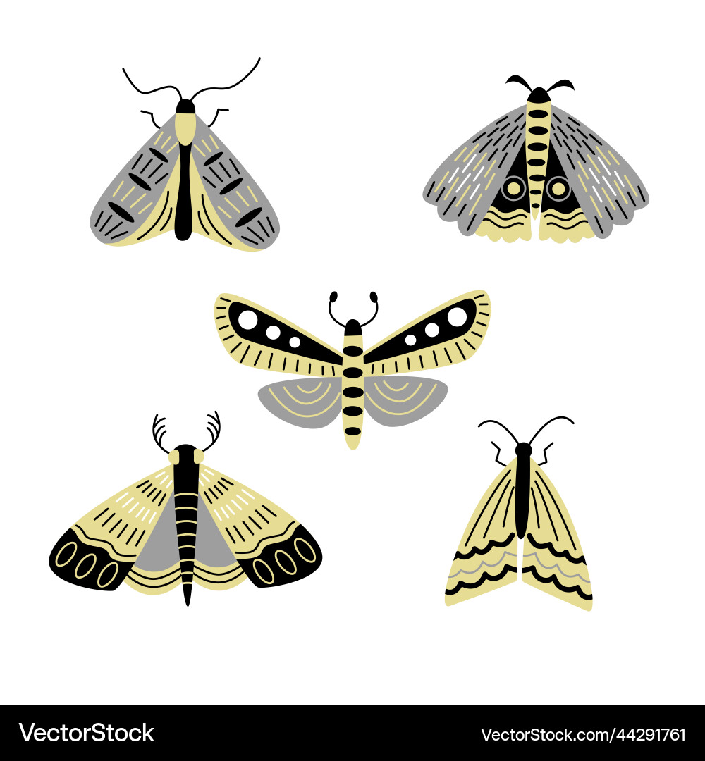 Set of moths Royalty Free Vector Image - VectorStock