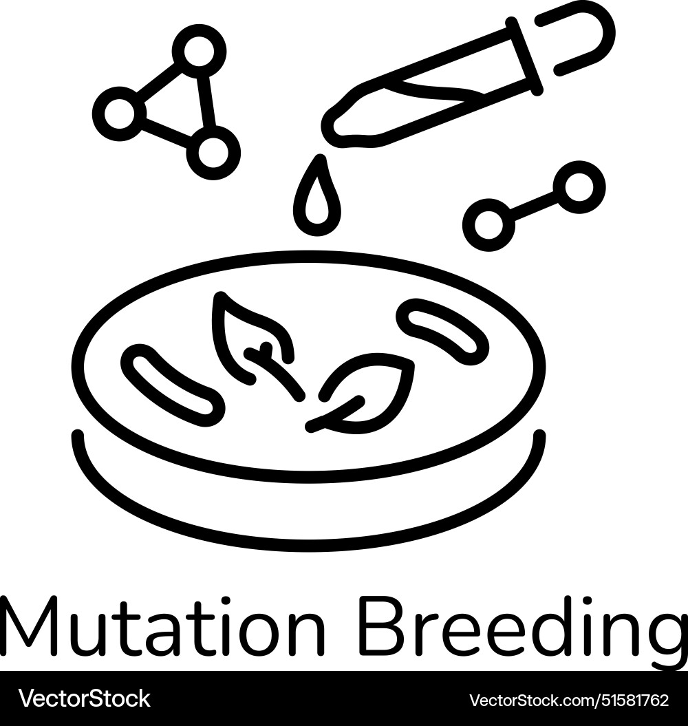 Mutation breeding Royalty Free Vector Image - VectorStock