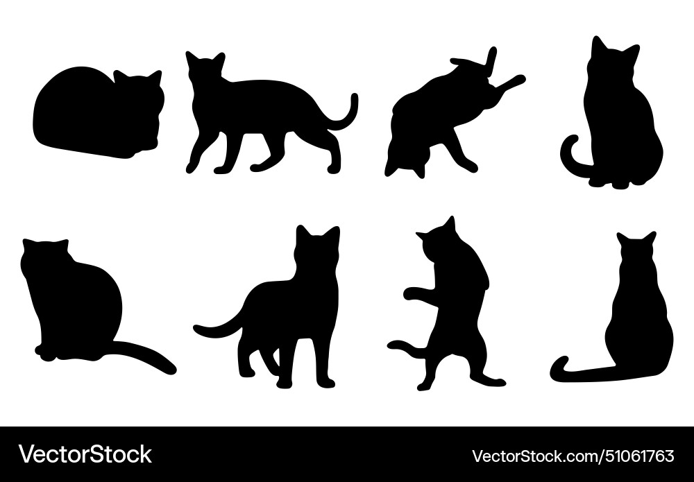 Cat shadow 1 Royalty Free Vector Image - VectorStock