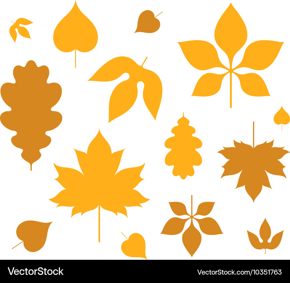 Leaf autumn Royalty Free Vector Image - VectorStock