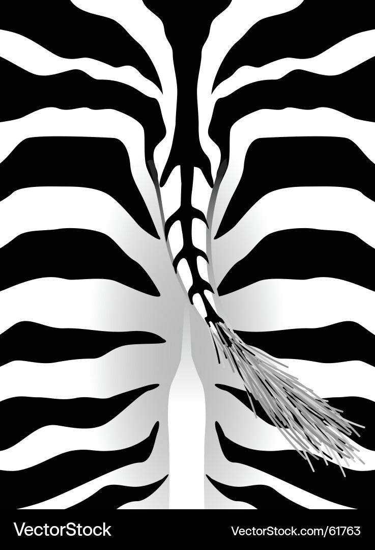 Zebra Stripes Royalty Free Vector Image - VectorStock