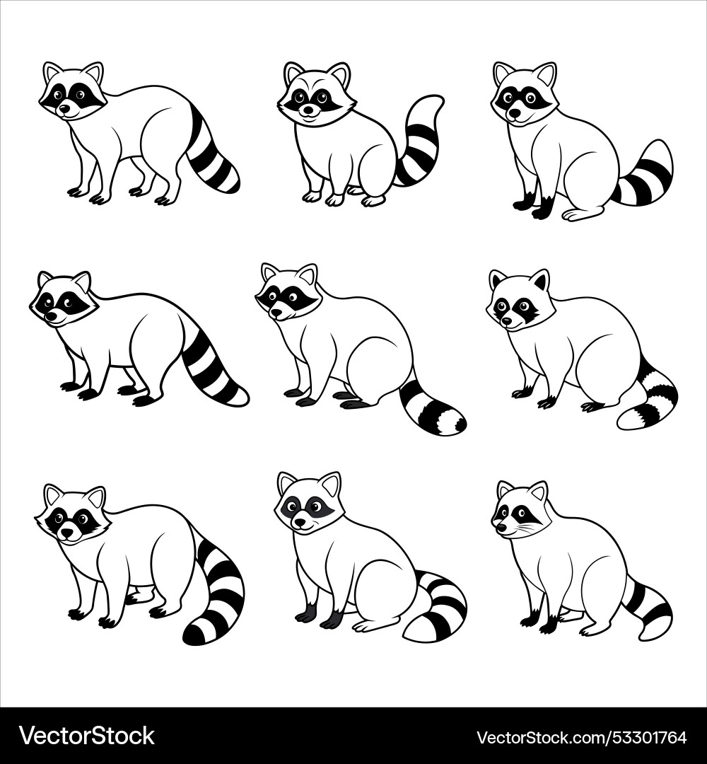 Raccoon alert posture line art Royalty Free Vector Image