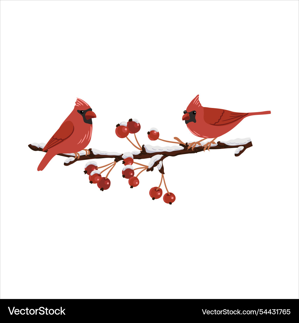 Tree branch with berries in winter Royalty Free Vector Image