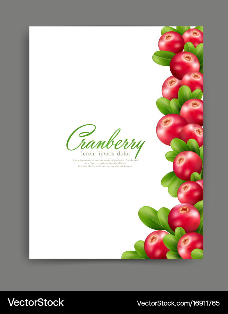 With realistic cranberries isolated Royalty Free Vector