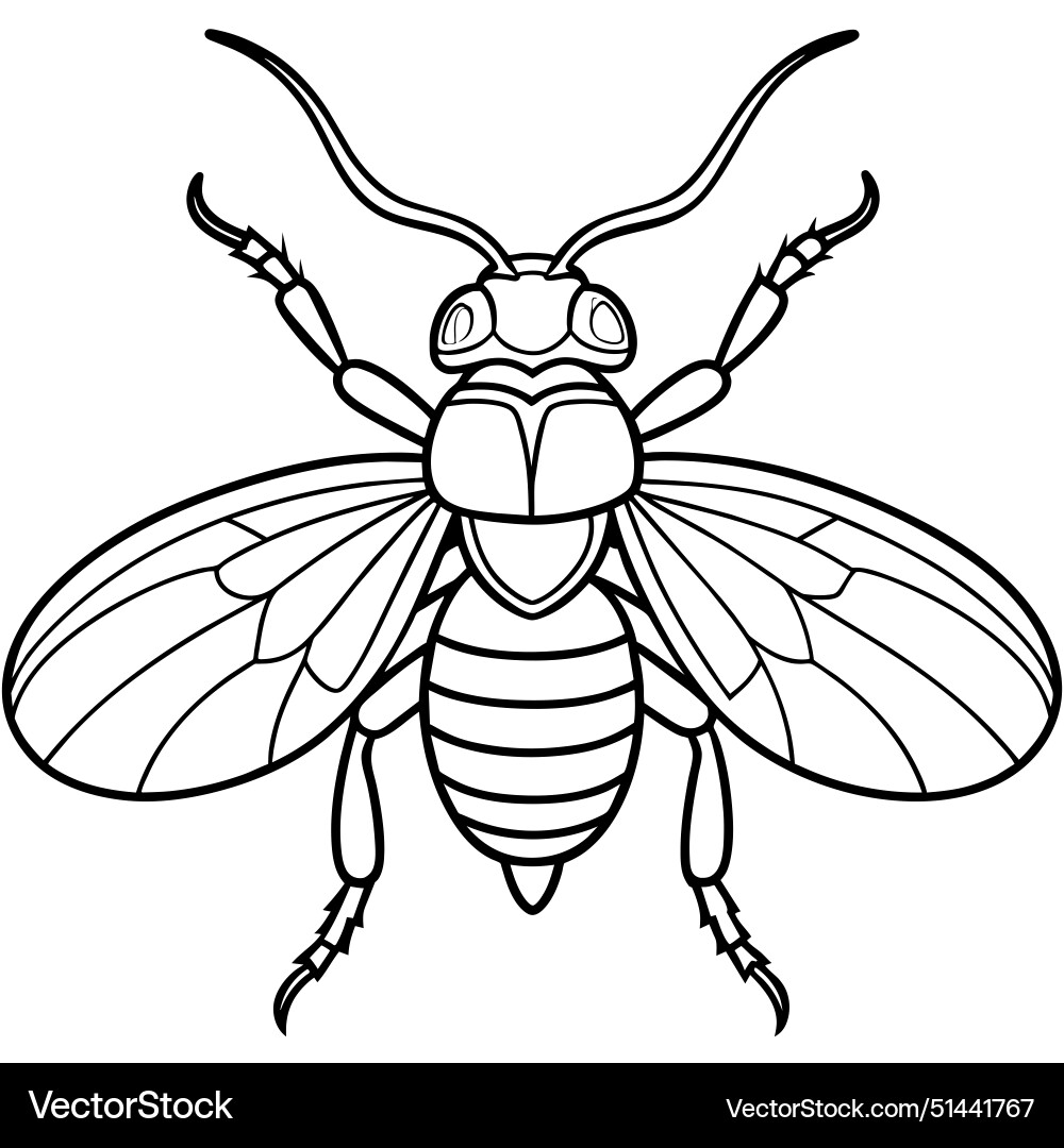 Ambrosia beetle bug flies icon Royalty Free Vector Image