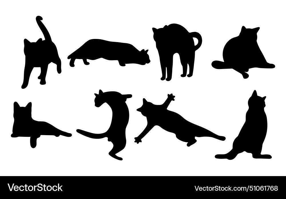 Cat shadow 14 Royalty Free Vector Image - VectorStock