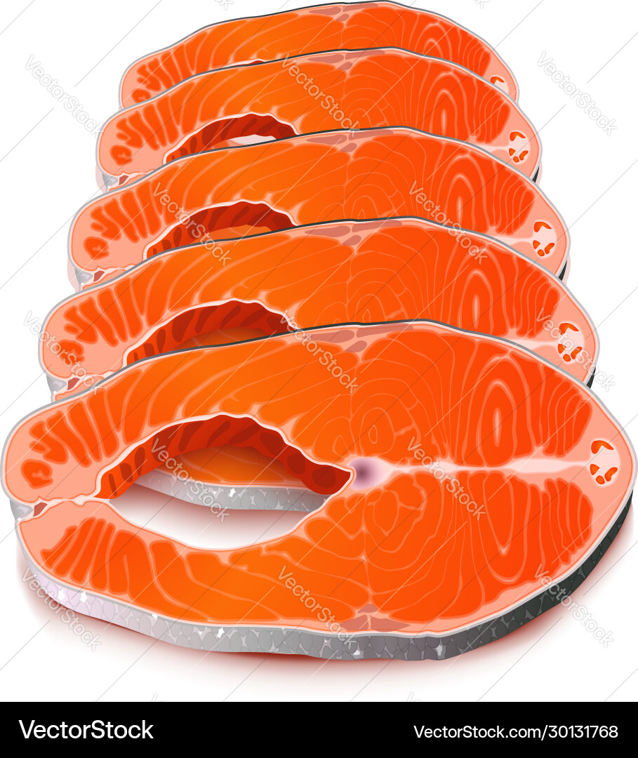 Red fish slice Royalty Free Vector Image VectorStock