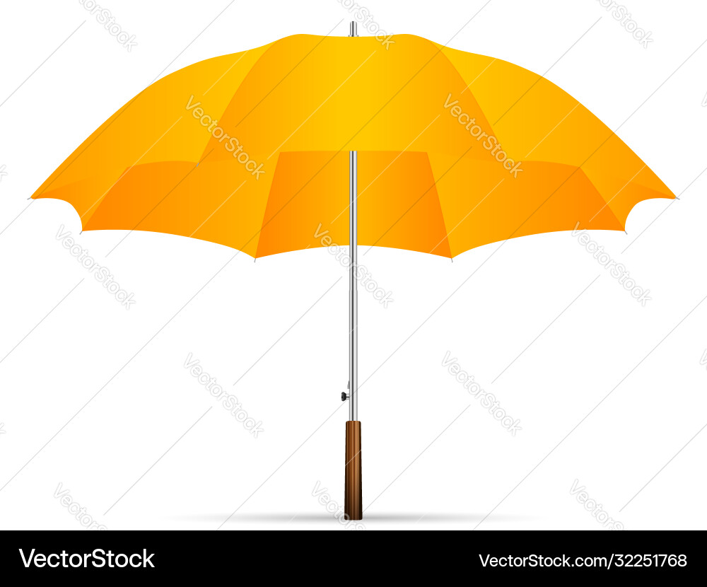 Umbrella Royalty Free Vector Image - VectorStock