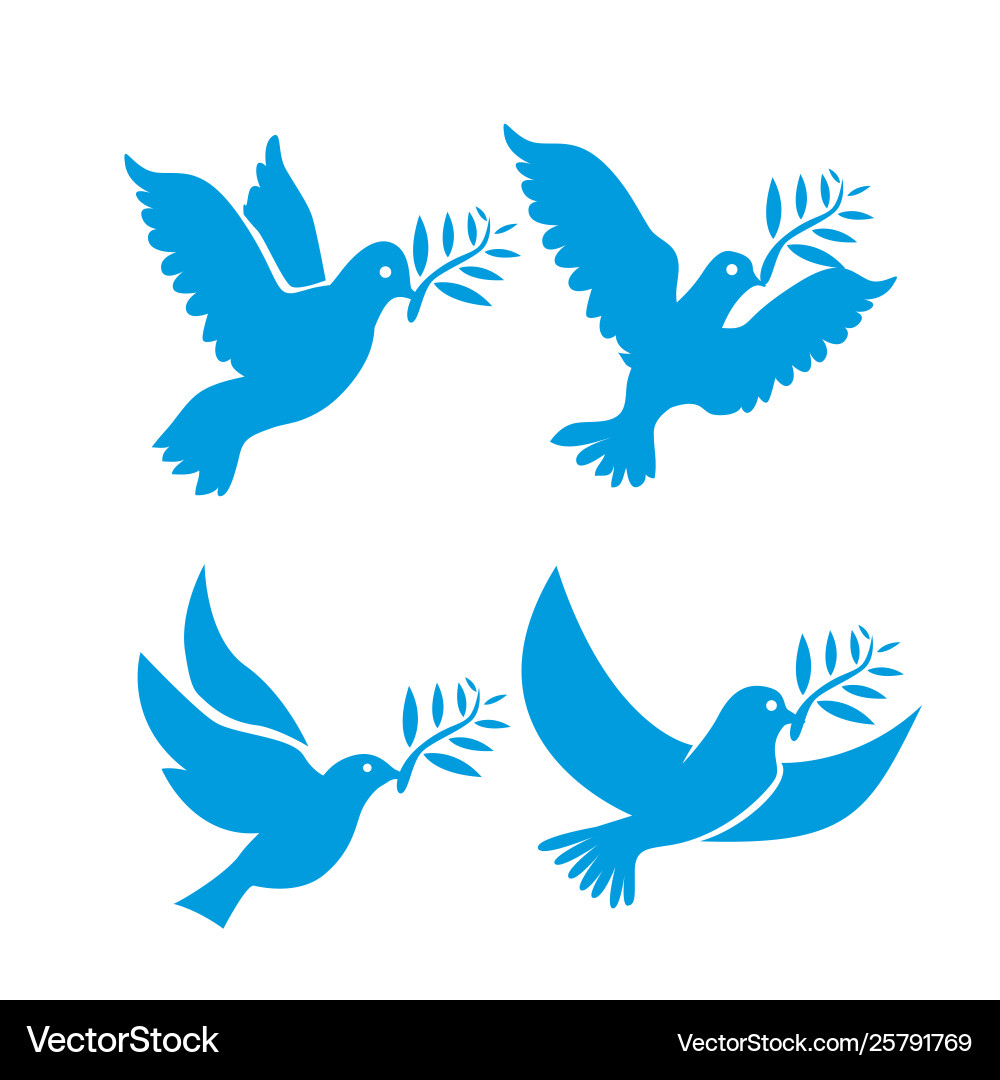 Set fliegende Vogelzeichen isoliert auf weiß Vektorbild