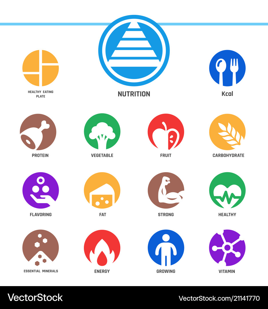 Nutrition Icon Set Royalty Free Vector Image - VectorStock