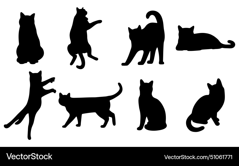 Cat shadow 2 Royalty Free Vector Image - VectorStock