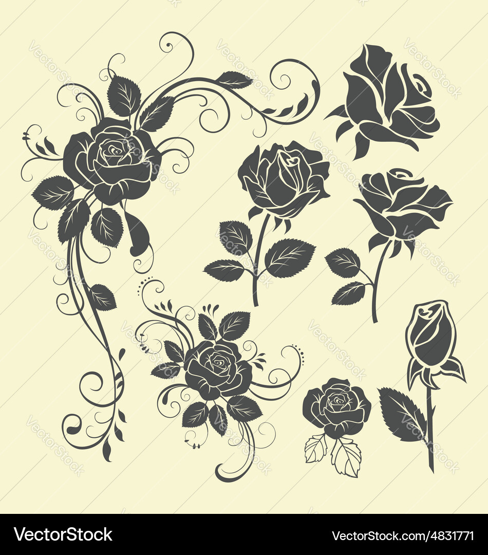 Elegant Rose Motif Royalty Free Vector Image - VectorStock