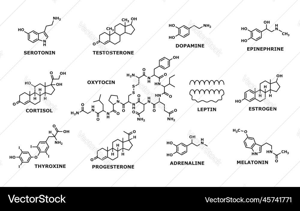 Estrogen Hormone Formula Vector Images (over 310)