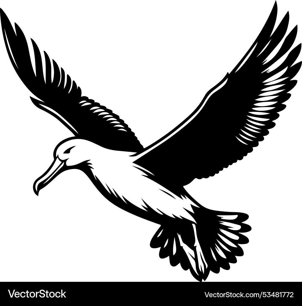 Albatross Bird Silhouette Royalty Free Vector Image
