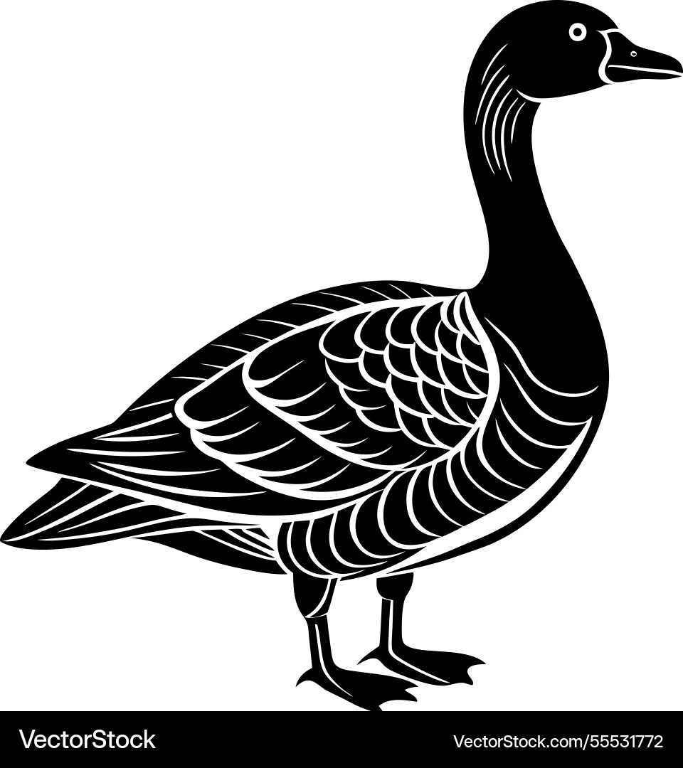 Black and white of a goose Royalty Free Vector Image