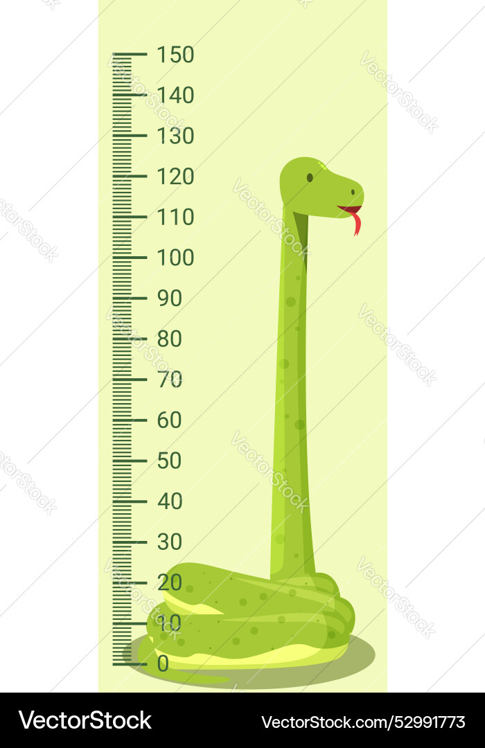 Cartoon snake measuring its height showing how Vector Image