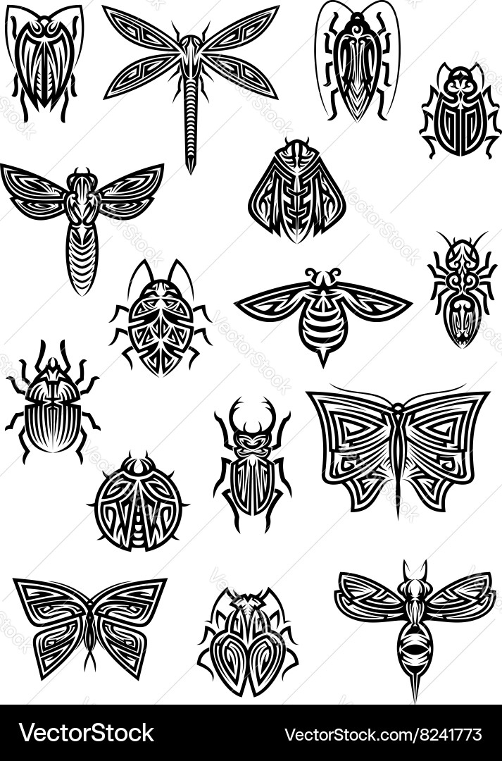 Insect Tattoos & Tribal Motifs Royalty Free Vector Image
