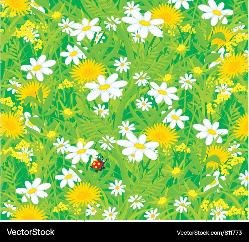Ladybug and field flowers Royalty Free Vector Image