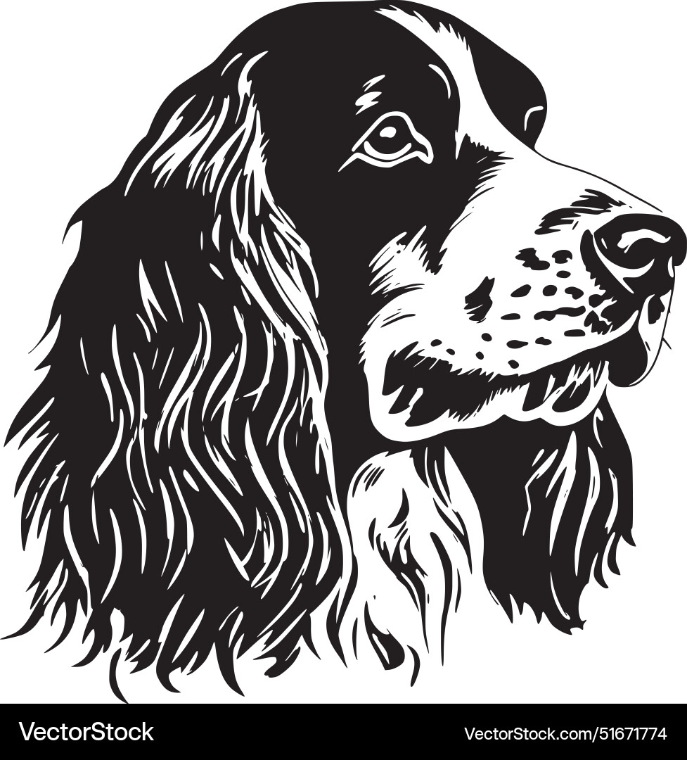 Cocker spaniel - high quality logo ideal Vector Image