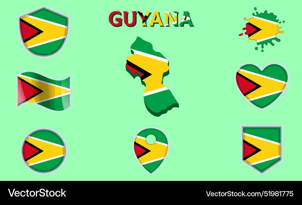 Collection of flat national flags guyana Vector Image