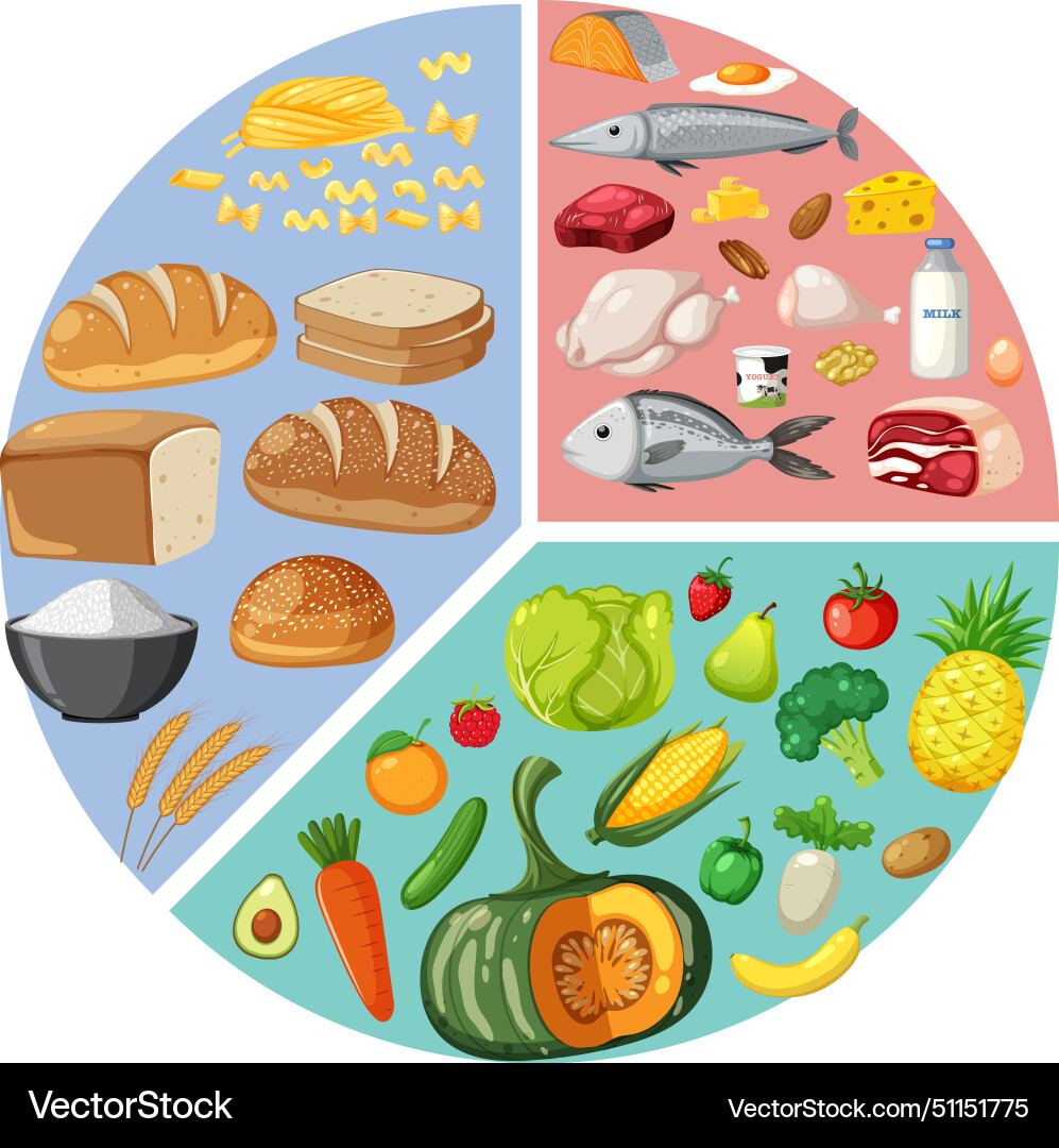 Various food groups in vibrant colors Royalty Free Vector