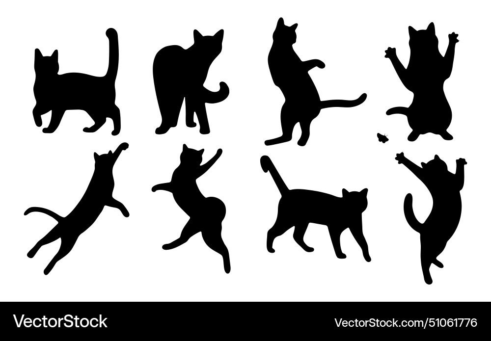 Cat shadow 7 Royalty Free Vector Image - VectorStock