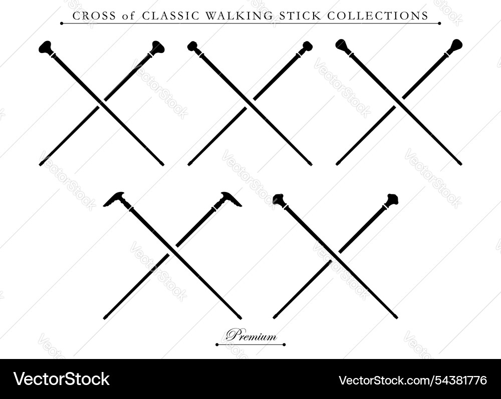 Set of senior walking sticks Royalty Free Vector Image
