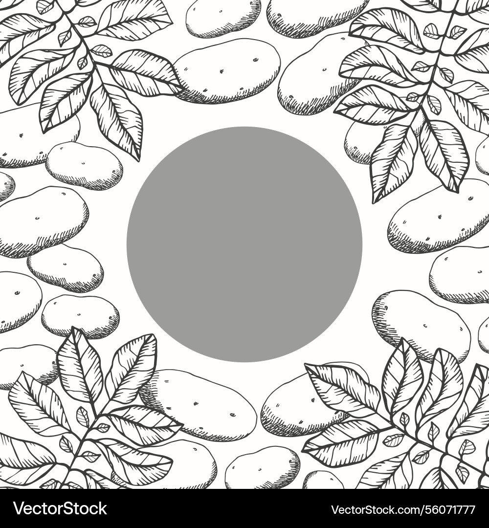 Border background with potatoes plant Royalty Free Vector