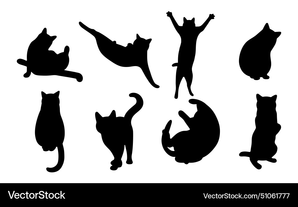 Cat shadow 8 Royalty Free Vector Image - VectorStock
