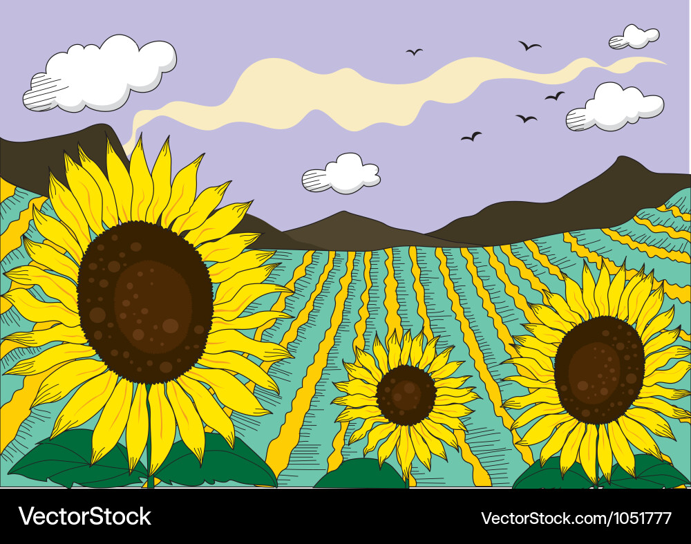 Sunflowers Royalty Free Vector Image - VectorStock