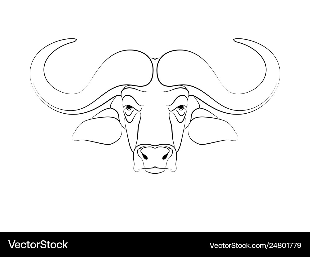 Engraving stylized buffalo on white background Vector Image