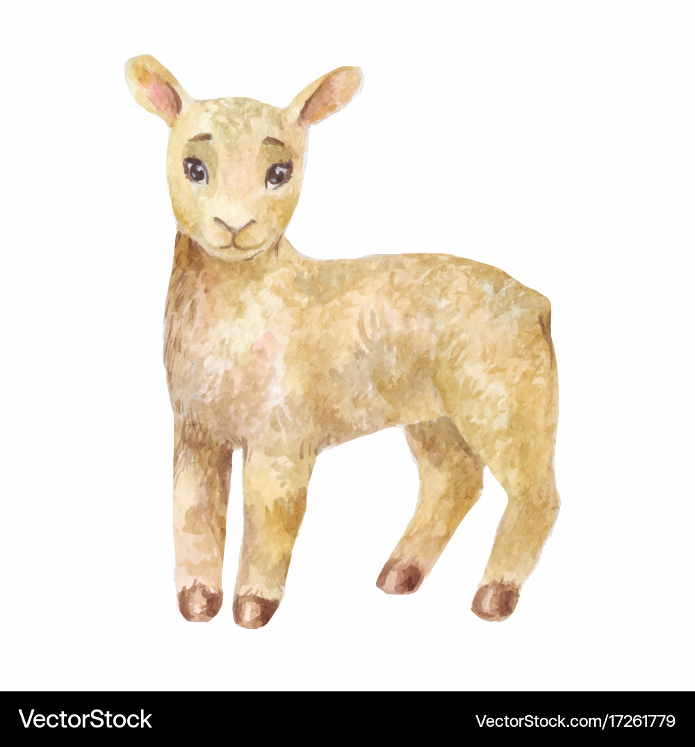Lamb Royalty Free Vector Image - VectorStock