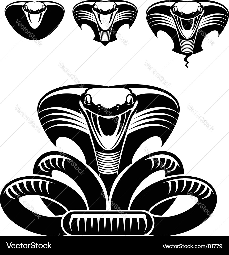 Snake tattoo Royalty Free Vector Image - VectorStock