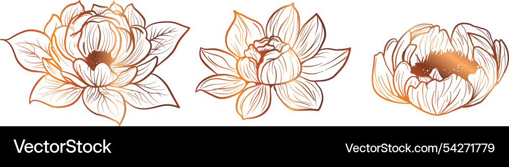 Stylized gold chinese peony flowers Royalty Free Vector
