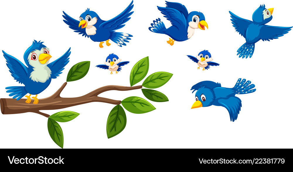 Tree branch and birds collection Royalty Free Vector Image