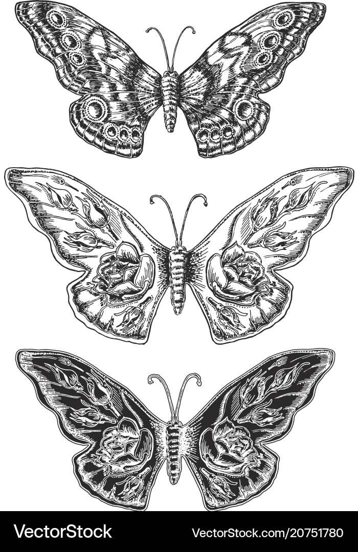 Decorative sketch butterflies Royalty Free Vector Image