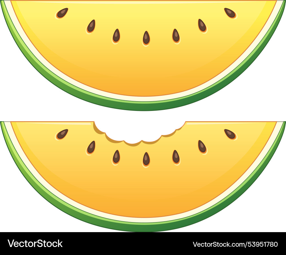 Two vibrant yellow watermelon slices with seeds Vector Image