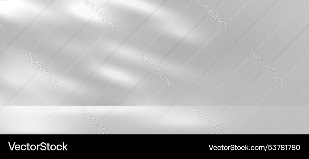 White studio with leaves shadow and sun light Vector Image
