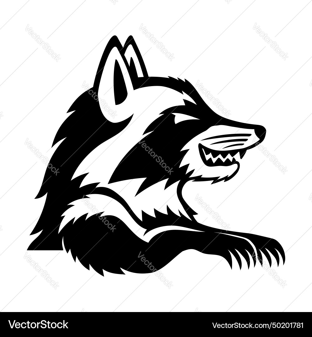 Animal raccoon icon Royalty Free Vector Image - VectorStock