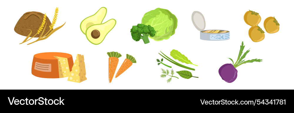 Different food and healthy product object Vector Image