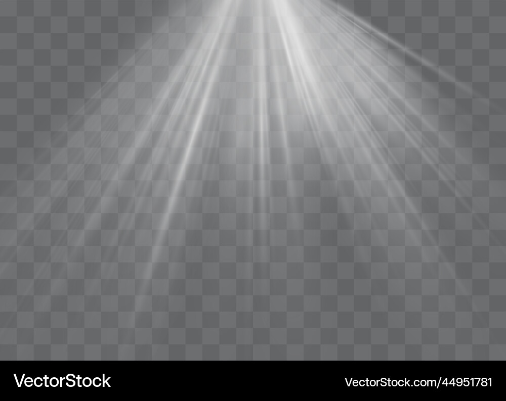 Transparent sunlight special lens flash Royalty Free Vector