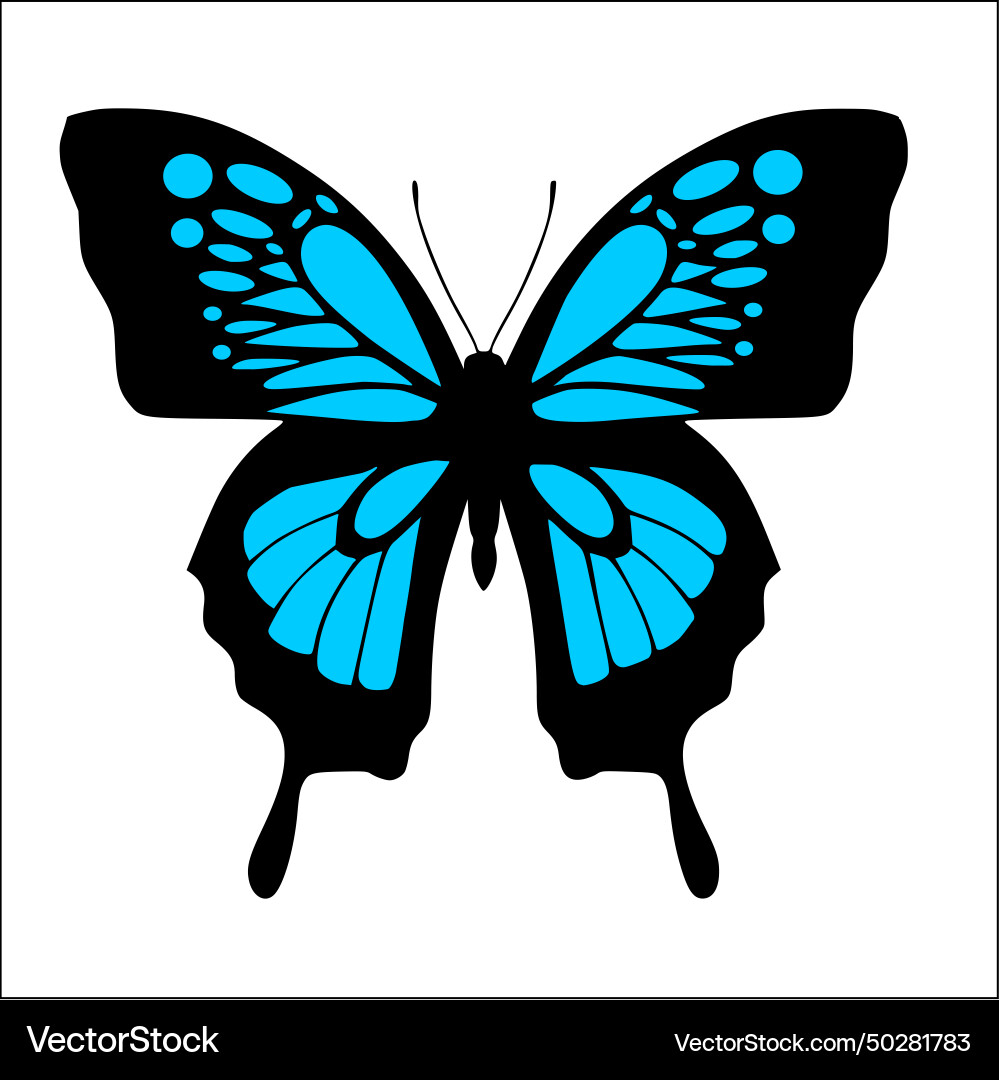 Blue butterfly Royalty Free Vector Image - VectorStock